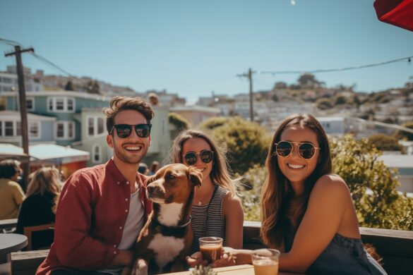 Hallon logga in - Så här loggar du in på Hallon